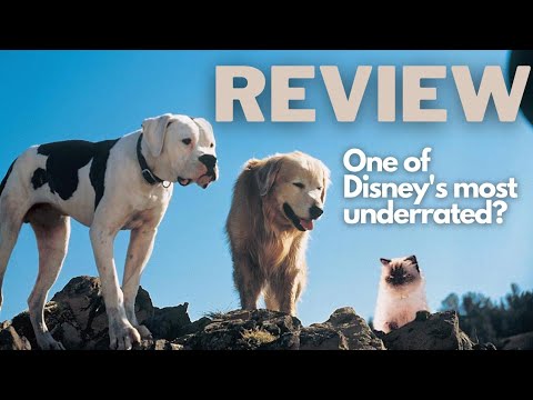 Homeward Bound (1993) | Review