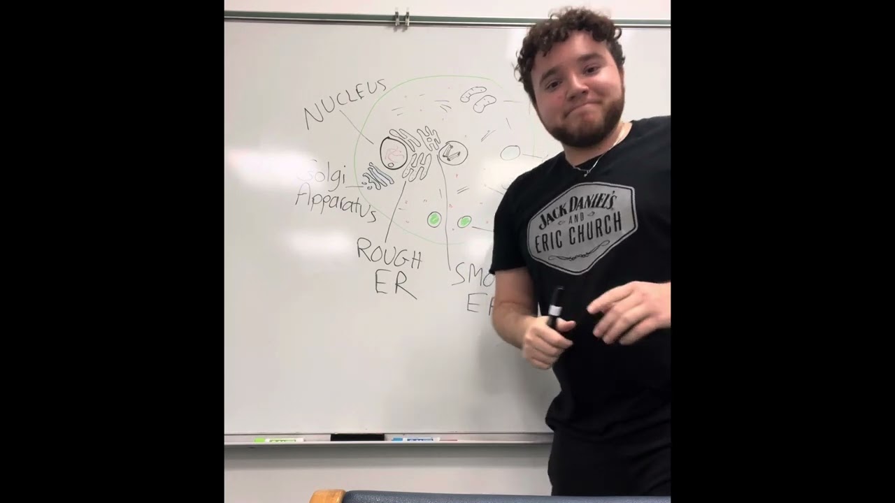 Extra Credit 1: Video 1-Cell