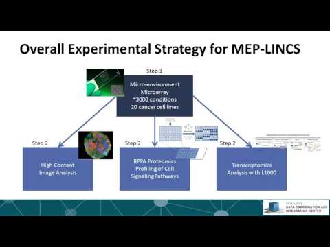 Lecture 4 - The LINCS Data and Signature Generation Centers