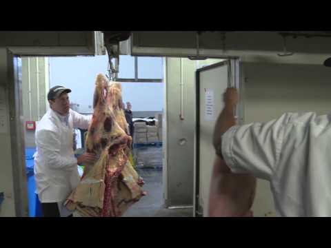 Just the Job: Retail Meat