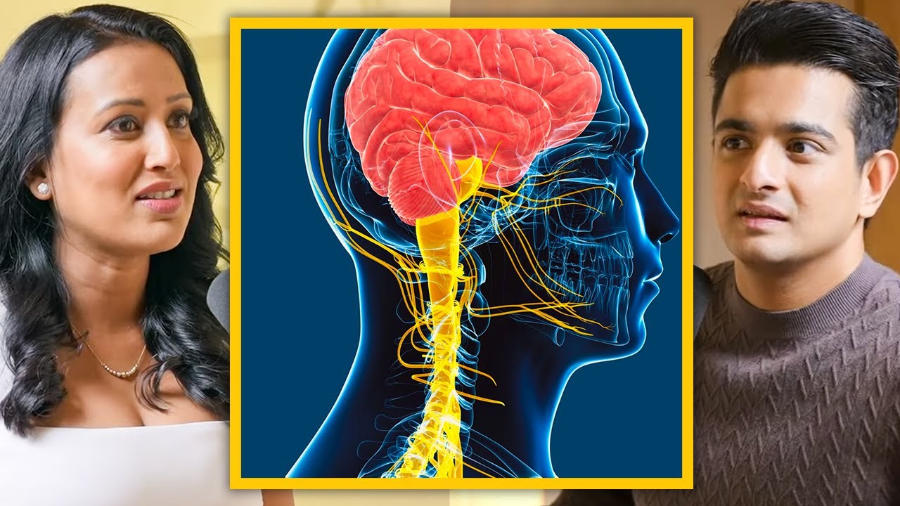Quickest Biological Hack To Reduce Stress - Vagus Nerve Stimulation Explained
