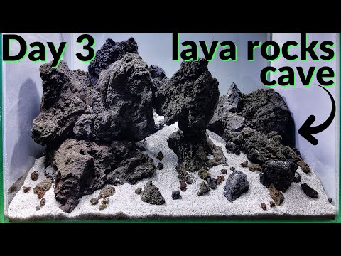 CHEAP aquarium decor (Black LAVA ROCKS hardscape, budget friendly aquascaping materials)