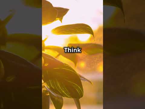 What is photosynthesis π€―π€―#plants #facts #photosynthesis #oxygen #carbon #dioxide #world