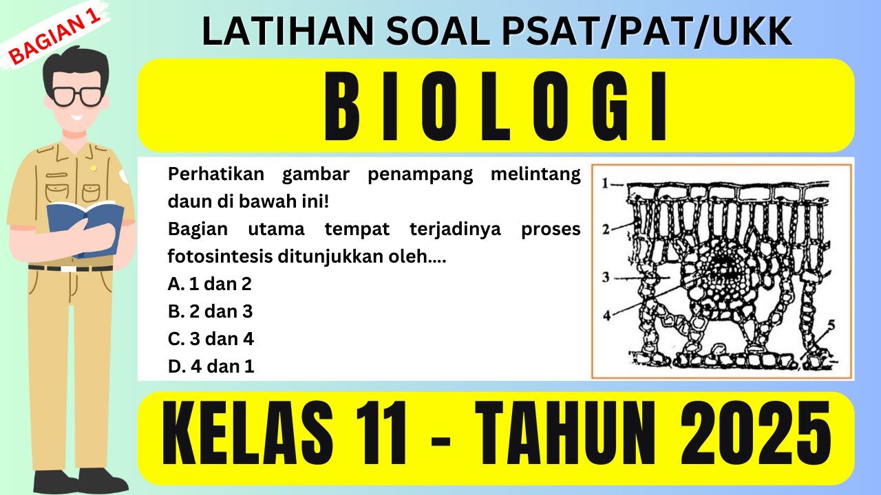 LATIHAN SOAL  PSAT/PAT/UKK KELAS 11 SMA - BIOLOGI bagian 1