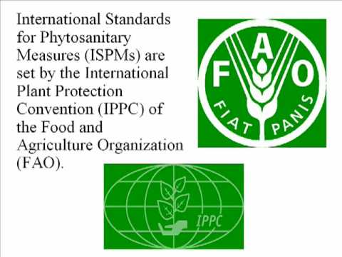 Introduction to SPS