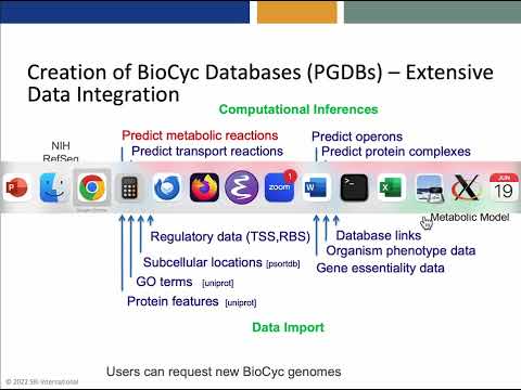A comparison of BioCyc and KEGG