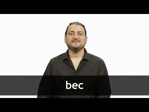 English Translation of “BEC” | Collins French-English Dictionary