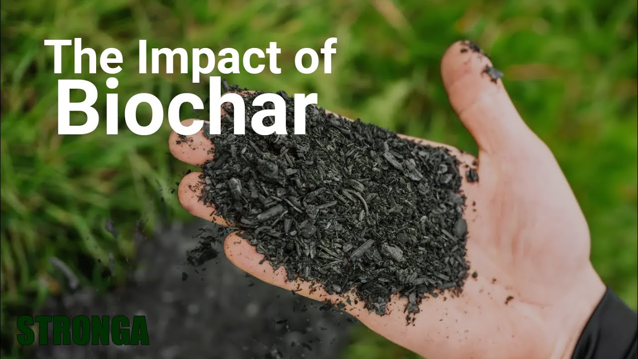 Biochar Can Transform Your Business AND the Planet