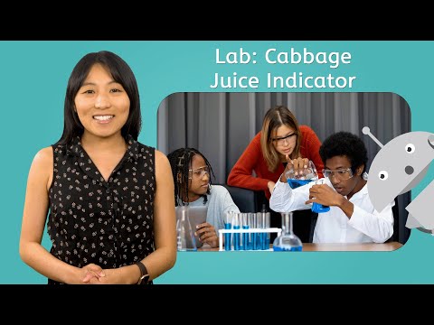Lab: Cabbage Juice pH Indicator - Hands-on Chemistry
