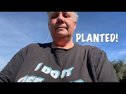 PLANTED / OFF-GRID LIFE IN CENTRAL PORTUGAL