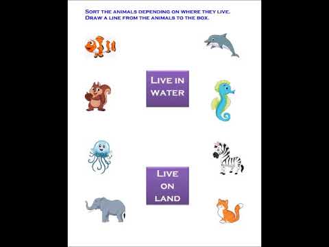 Science worksheets for kindergarten on animals
