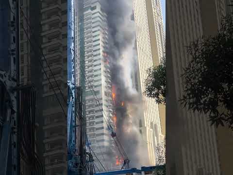 Dubai on fire #fire #dubaimarina #dubaimarina #uae #dubair #tiger