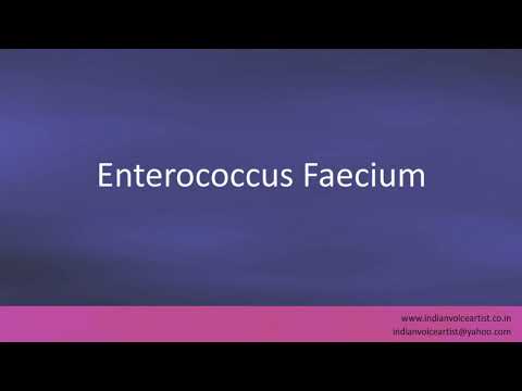 Pronunciation of the word(s) "Enterococcus Faecium".