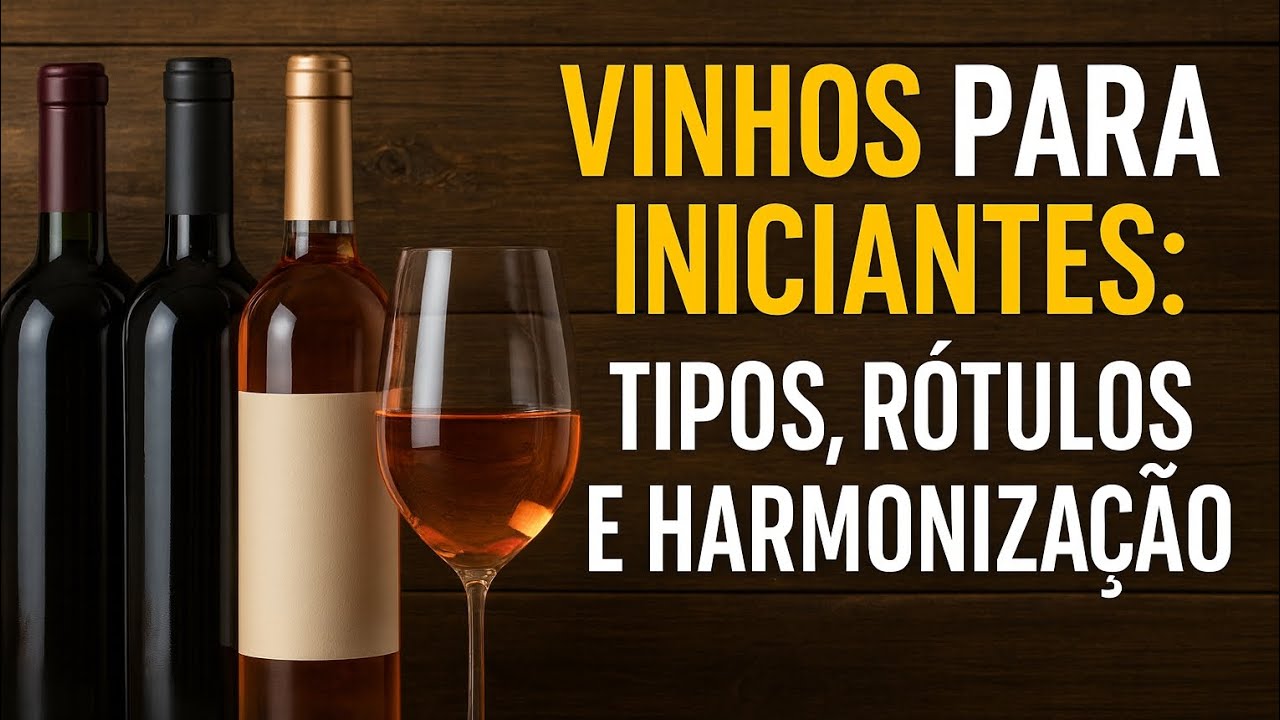 VINHOS para INICIANTES | Tipos, como escolher rótulos e harmonizar com comida