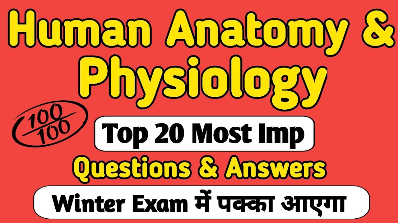 Human Anatomy and Physiology Top 20 Most IMP Questions and Answers #msbte #ruhs #bteup #humananatomy