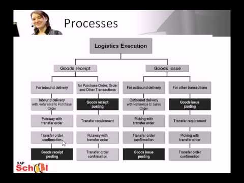 SAP Logistics Modules: how to draft SAP Logistics Modules growth – Risk ...