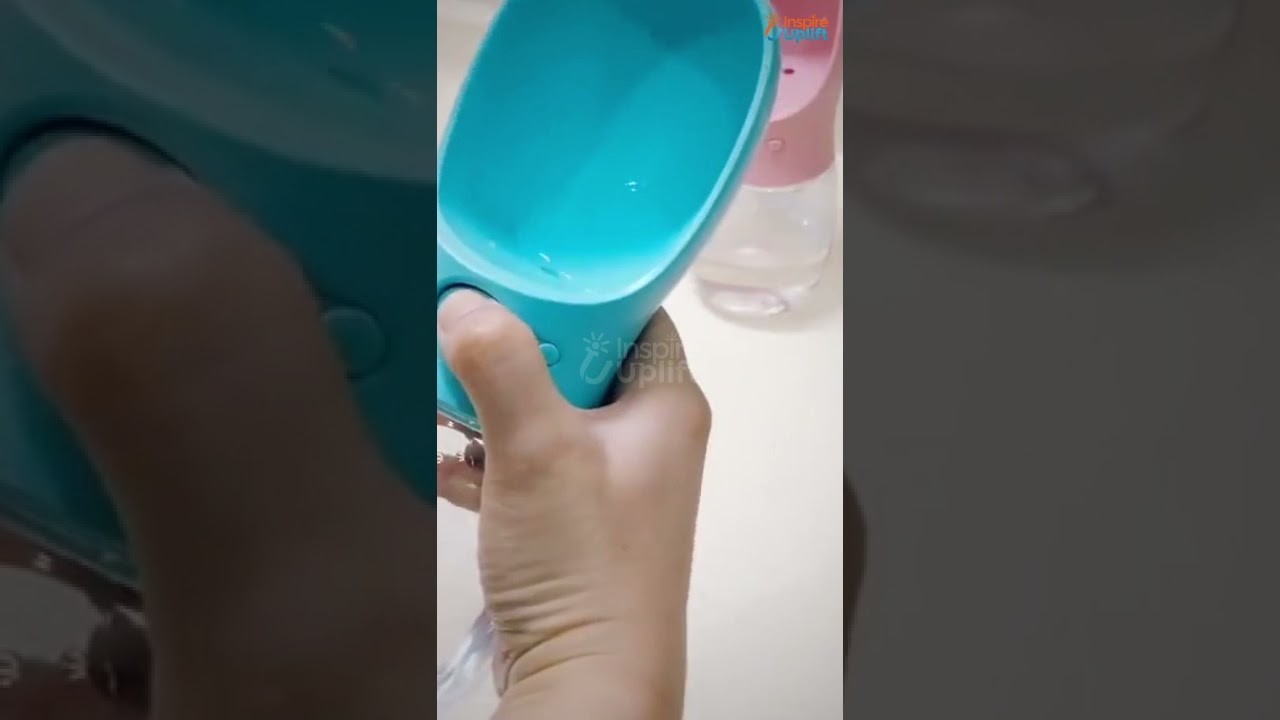 BottleDoggy Portable Drinking Water Bottle | Inspire Uplift Trending