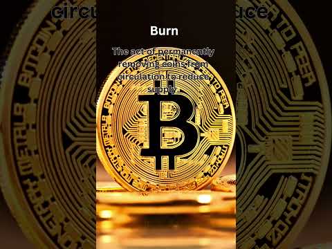 Must-Know Cryptocurrency Terms Explained Simply | Burn