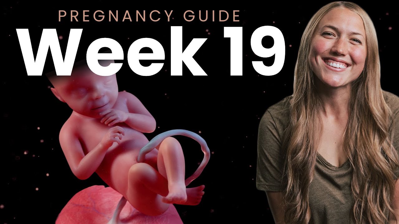 19 Weeks Pregnant | Week By Week Pregnancy