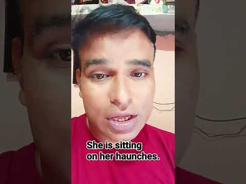 Sit on someone's haunches - उकडू बैठना | Daily English