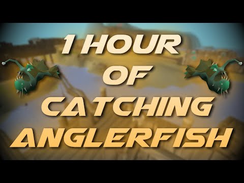 Catching Anglerfish | Testing OSRS Wiki Money Making Methods