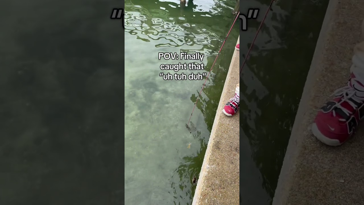 Uh Tuh Duh #genalpha #uhtuhduh #uhduhduh #fyp #youtubeshorts #brainrot #fishing #fishingshorts #fish