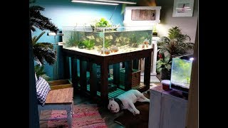 Building A Plywood Bottom Aquarium - The DIY Aquarium