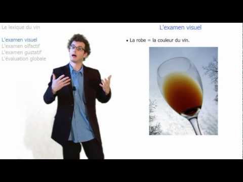 Le lexique du vin / Vocabulario del vino