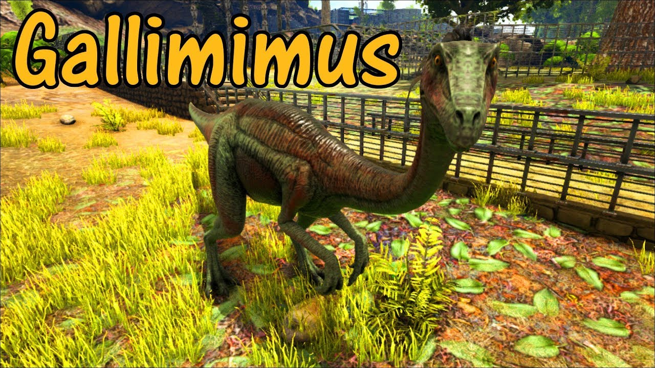 Gallimimus Educational Special [68]