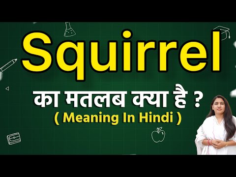 Squirrel meaning in hindi | Squirrel ka matlab kya hota hai | Word meaning