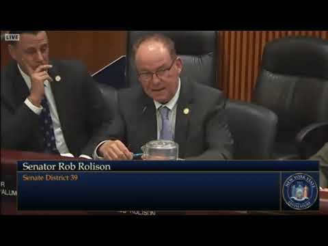 Senator Rob Rolison Questions NYS DHSES Commissioner at Legislative Budget Hearing