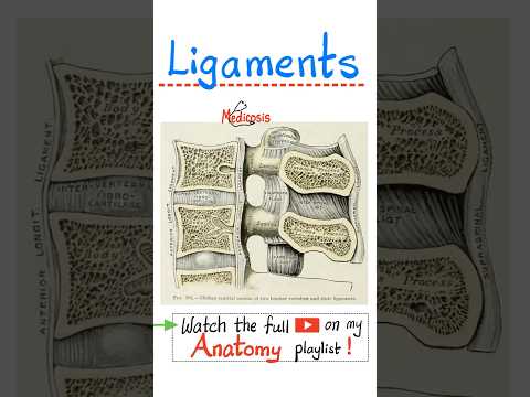 Ligaments of the vertebral column - Anatomy of the spine (back) #doctor #nurse #anatomy #physiology