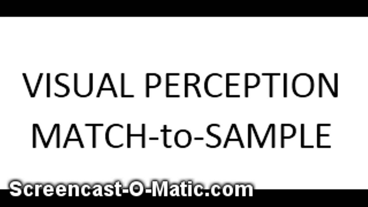 Visual Perception/Match-to-Sample