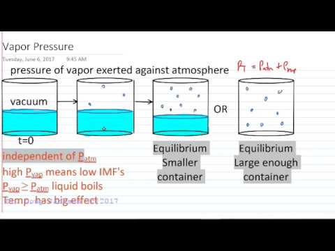 Vapor Pressure and Dynamic Equilibrium
