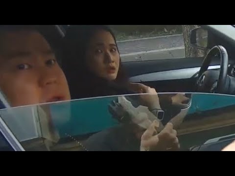 呵呵我沒錯，我有先打燈ㄟ（開聲音） | WoWtchout - 地圖型行車影像分享平台