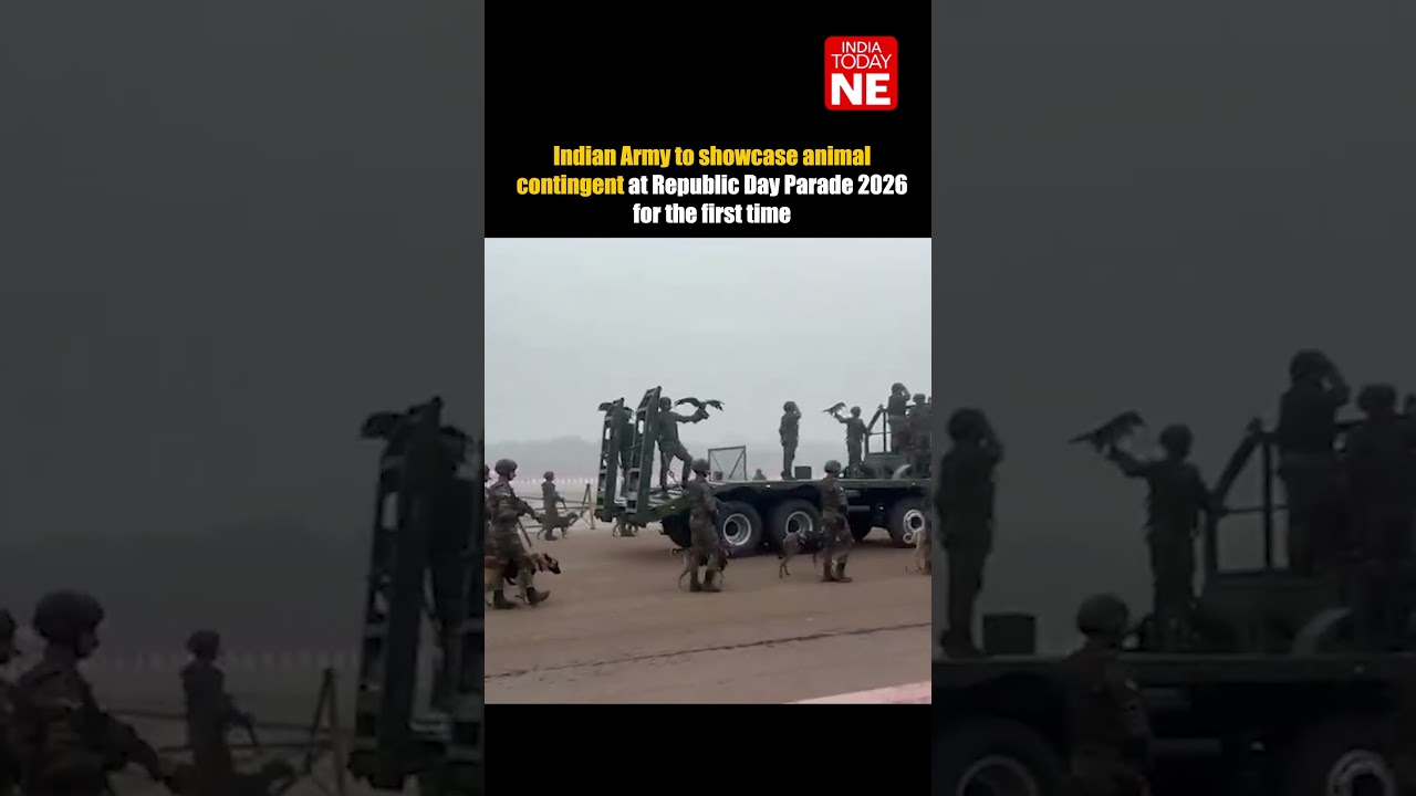 Yontama Takes the Helm: Wakayama's Kishi S... | Gaya One