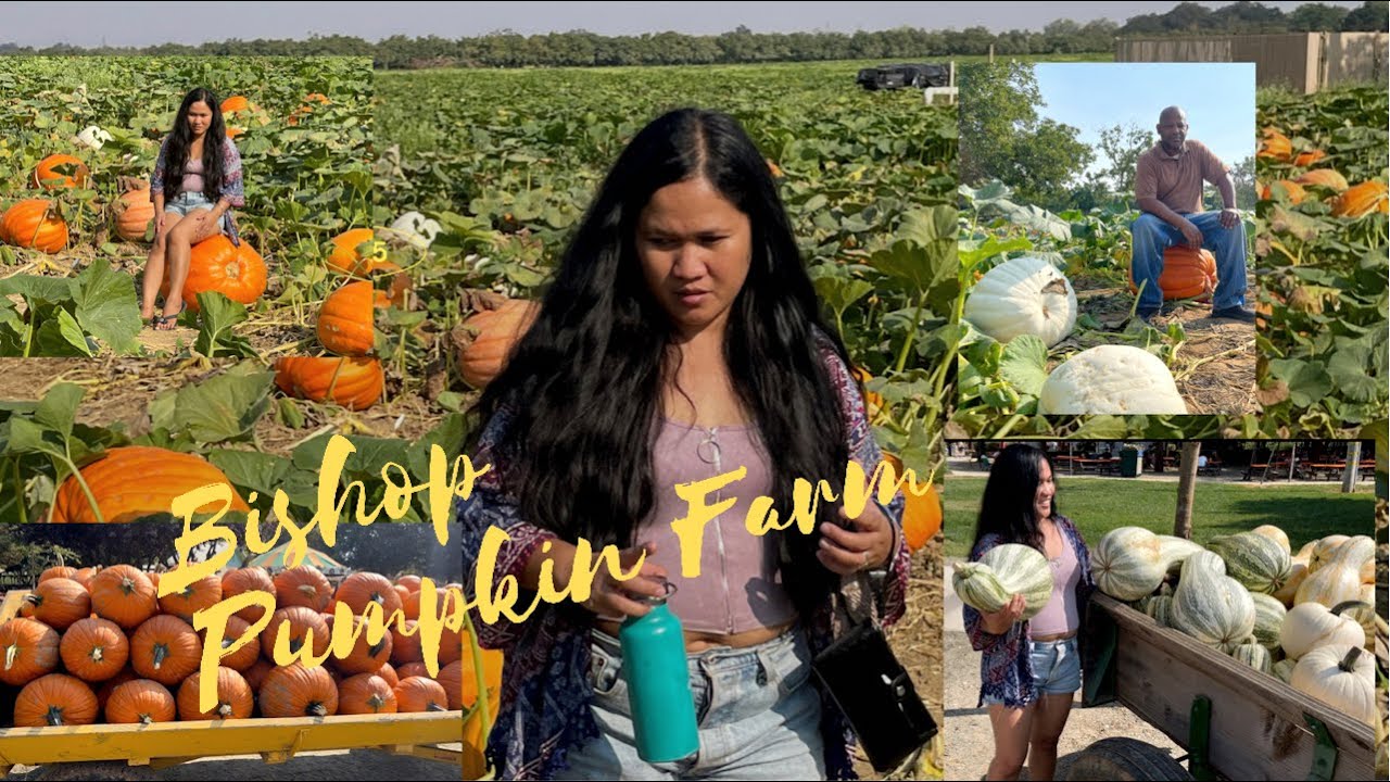 Bishop Pumpkin Farm Wheatland, CA🇺🇸🇵🇭