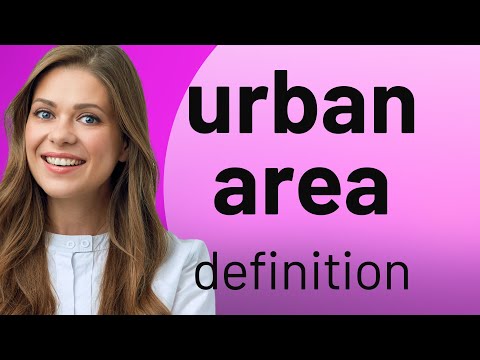 Urban area | definition of URBAN AREA