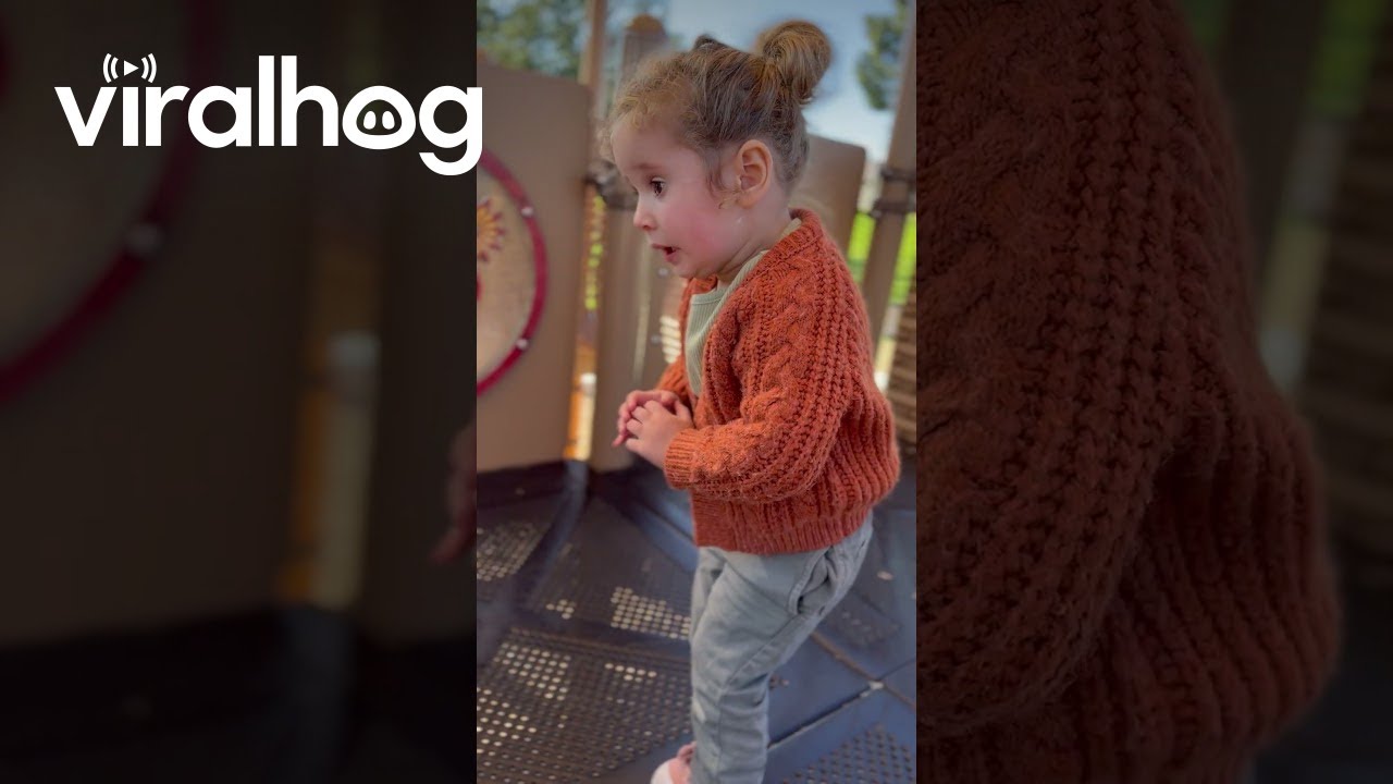 Clutched Cardigan At Ant Anatomy || ViralHog