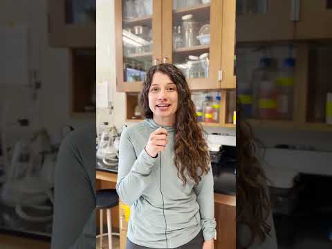 Science Labs