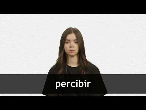 English Translation of “PERCIBIR” | Collins Spanish-English Dictionary