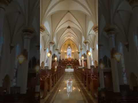 Cathedral of the Immaculate Conception in Fort Wayne Indiana