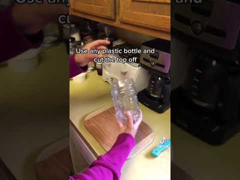 how to get rid of flies a Tik-Tok video for people that hate flies