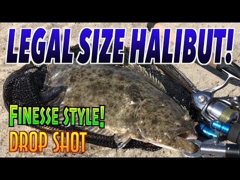 California Halibut! Finesse drop shot rig with Keitech Live Impact. Fishing in Southern California