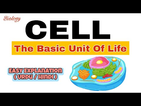 Cell | The Basic Unit of Life | Definition | Easy Explanation in Urdu/Hindi