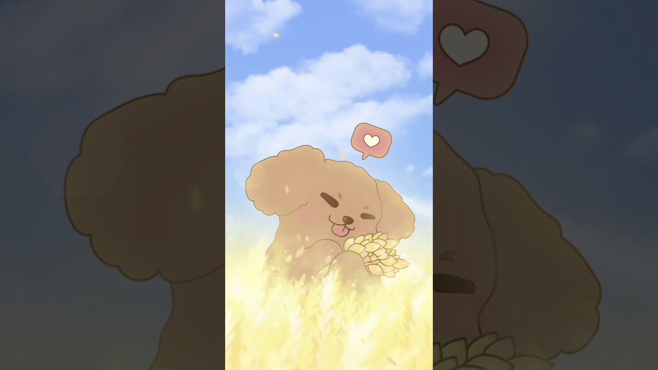 [Imshine] Cute poodle autumn mood / galaxy video wallpaper