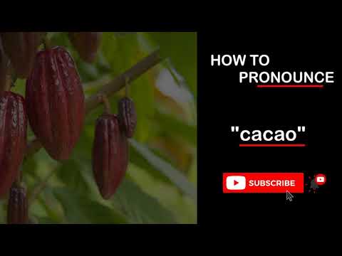How do you say Cacao in English | Cacao meaning in english