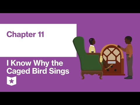 I Know Why the Caged Bird Sings Study Guide | Course Hero