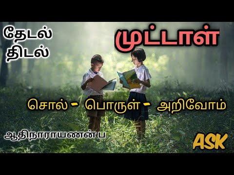 முட்டாள் என்ற சொல் எப்படி கிடைத்தது | சொல் பொருள் அறிவோம் | stupid | தேடல் திடல் | thedal thidal