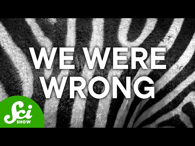 Scientists Have Finally Uncovered the True Reason Why Zebras Have Their ...